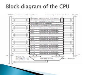 Msp430 assembly language instructions &addressing modes | PDF
