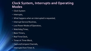 What Is Watchdog Timer In Msp430