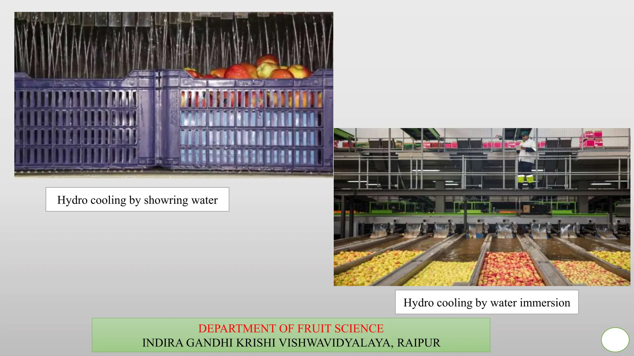 METHODS OF POST HARVEST HANDLING INCLUDING :- PRE-COOLING, WAXING ...