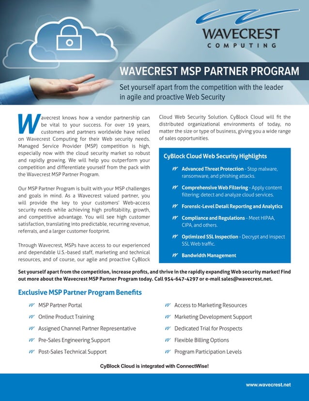 MSP Partner Program | PDF | Cloud Computing | Internet