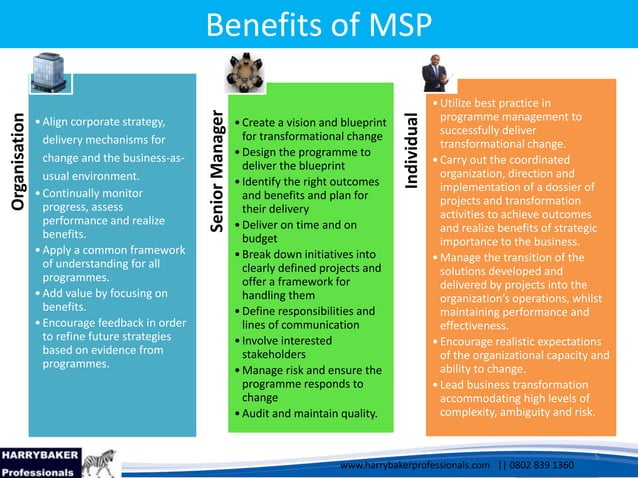 Msp quick guide | PPTX | Postgraduate Education | College Education