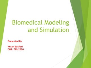 M&S Presentation.pptx