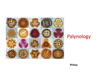Ms_PrincyMolAP_Palynology.pdf