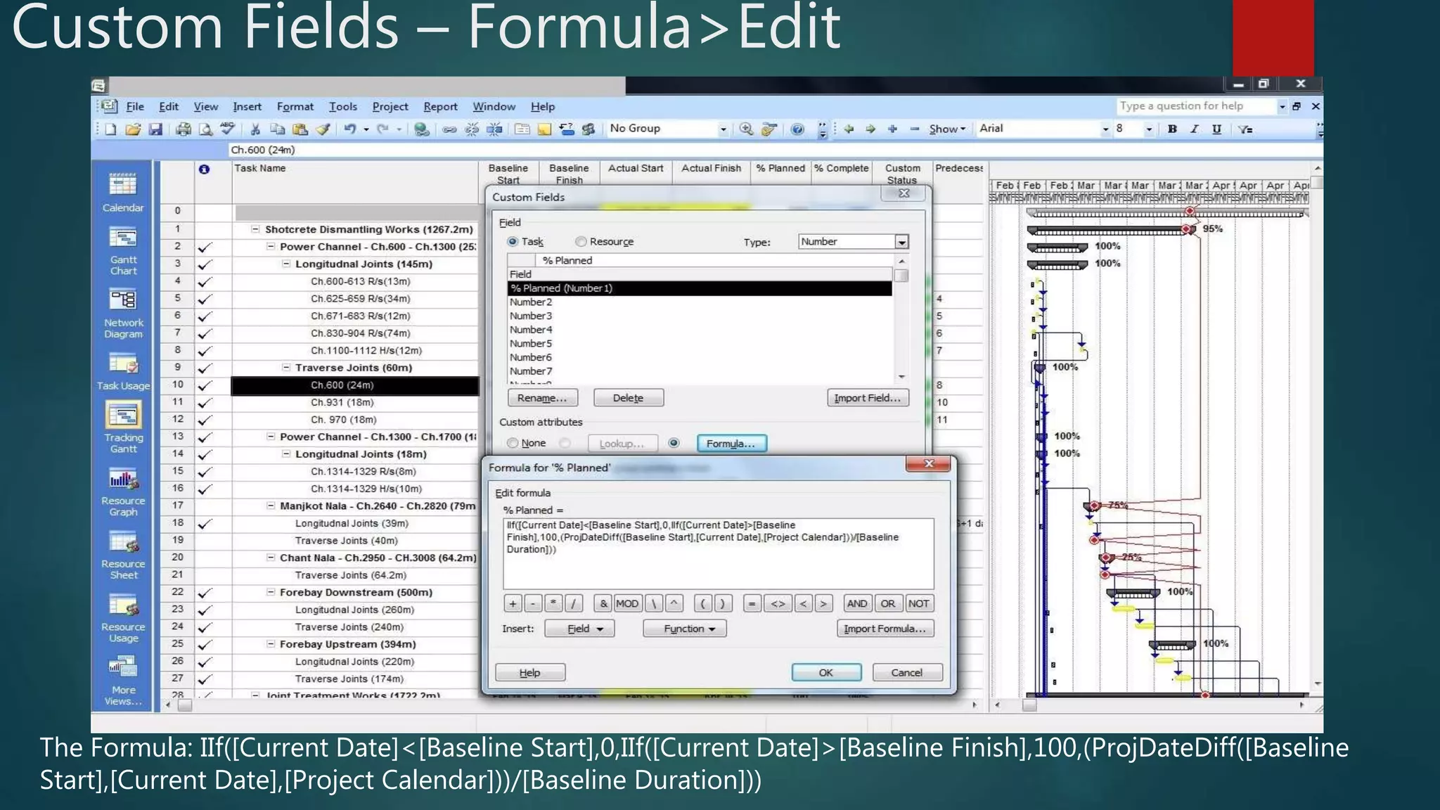 Ms project – custom fields | PPTX