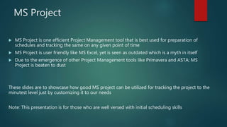 Ms project – custom fields | PPTX