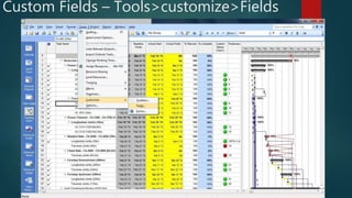 Ms project – custom fields | PPTX