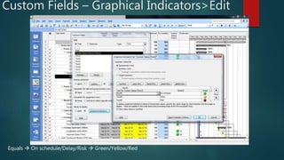 Ms Project Custom Fields Pptx