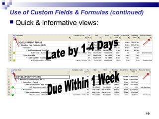 Graphical Indicators in MS Project | PPT