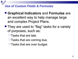 Graphical Indicators in MS Project | PPT