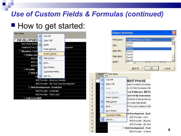 Graphical Indicators in MS Project | PPT
