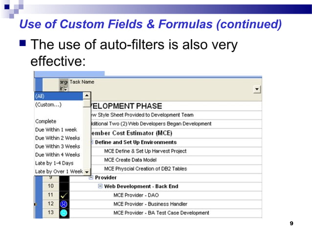 Graphical Indicators in MS Project | PPT