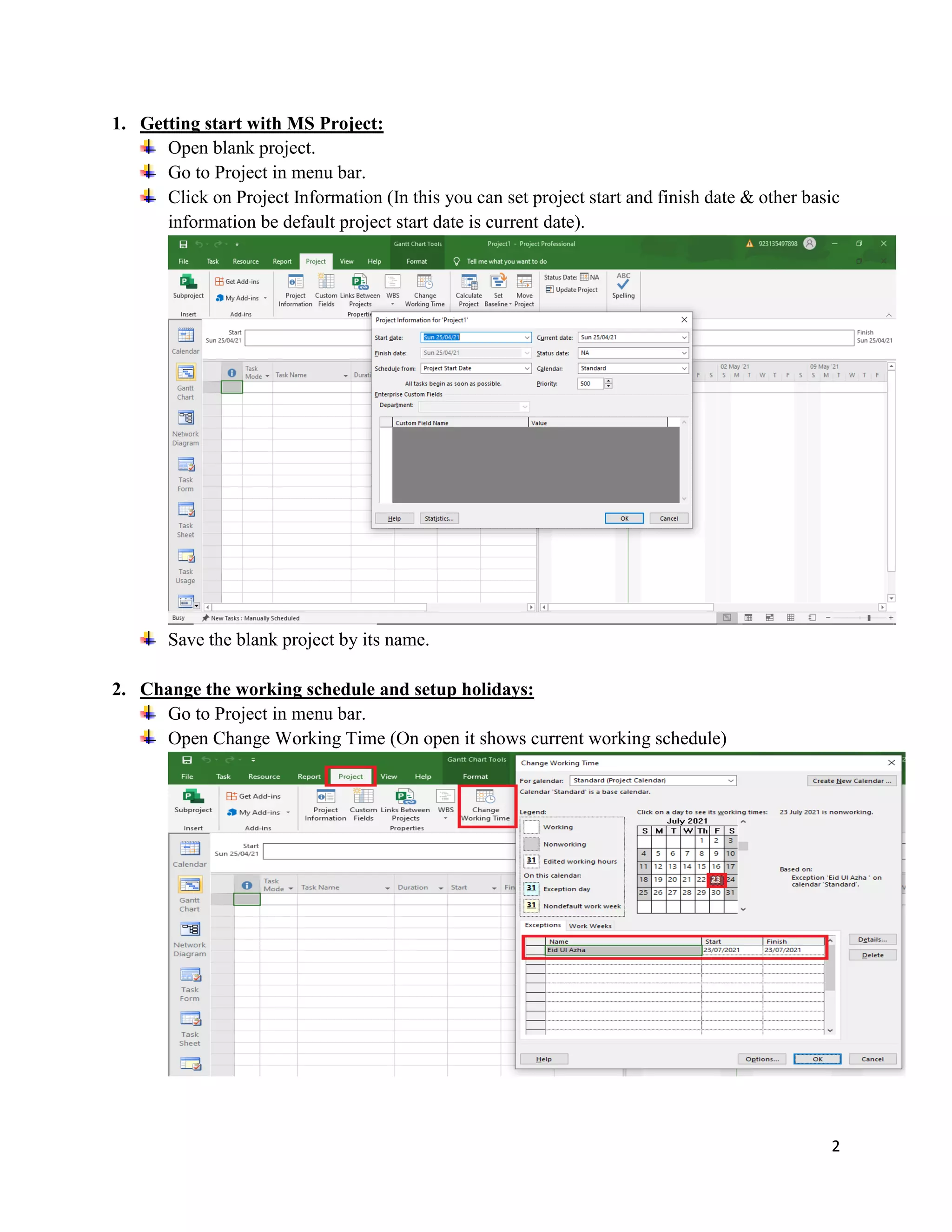 MS Project Guide.pdf
