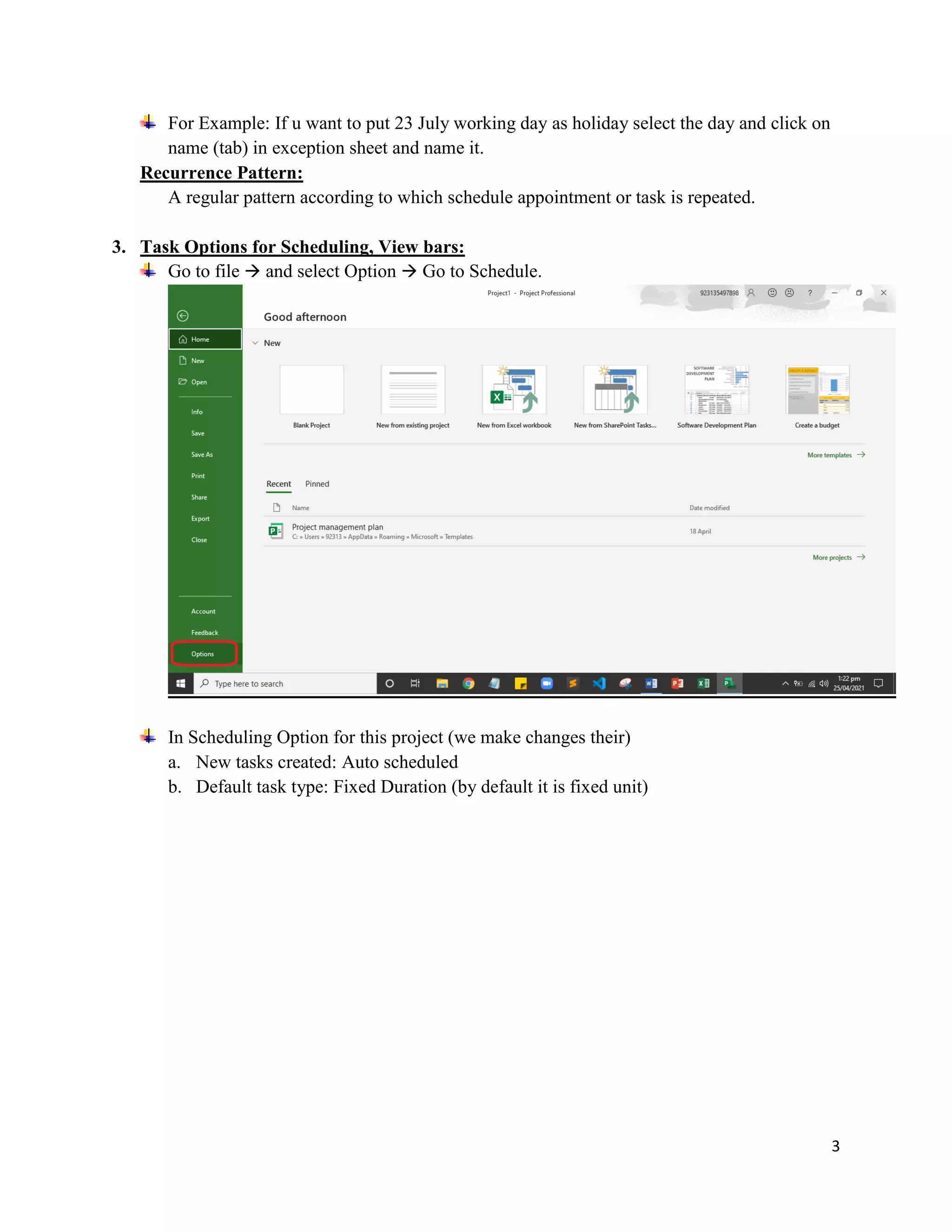 MS Project Guide.pdf
