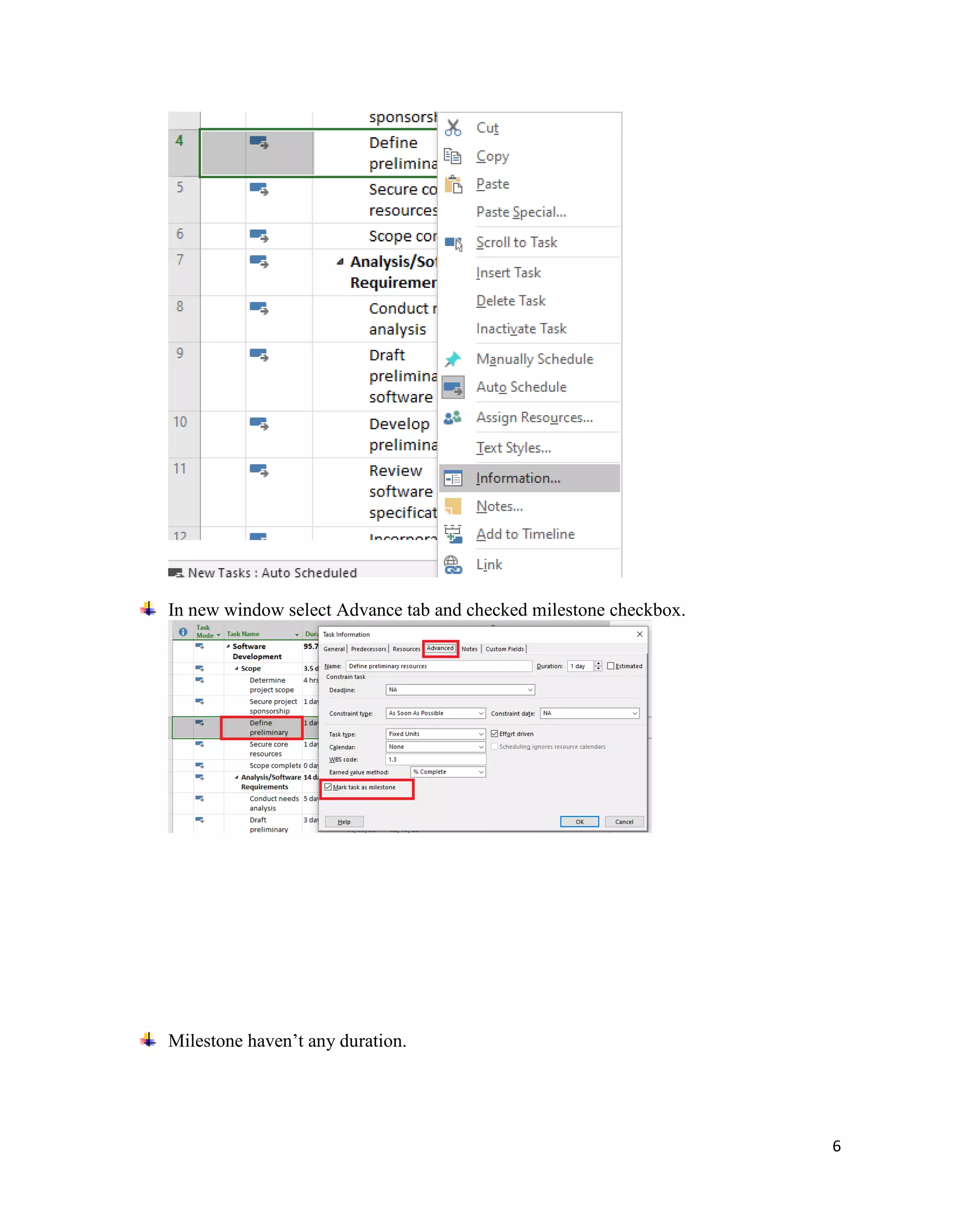 MS Project Guide.pdf