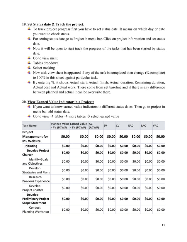 MS Project Guide.pdf | Business | Business and Finance