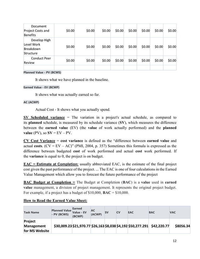 MS Project Guide.pdf | Business | Business and Finance