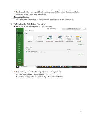 MS Project Guide.pdf