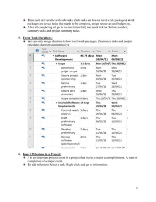 MS Project Guide.pdf