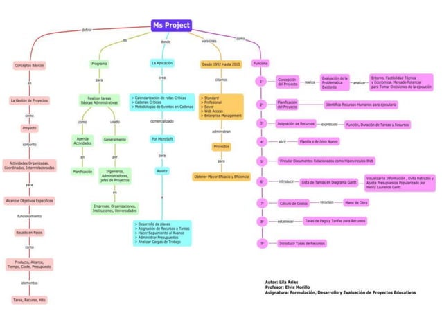 Ms project lila | PPTX