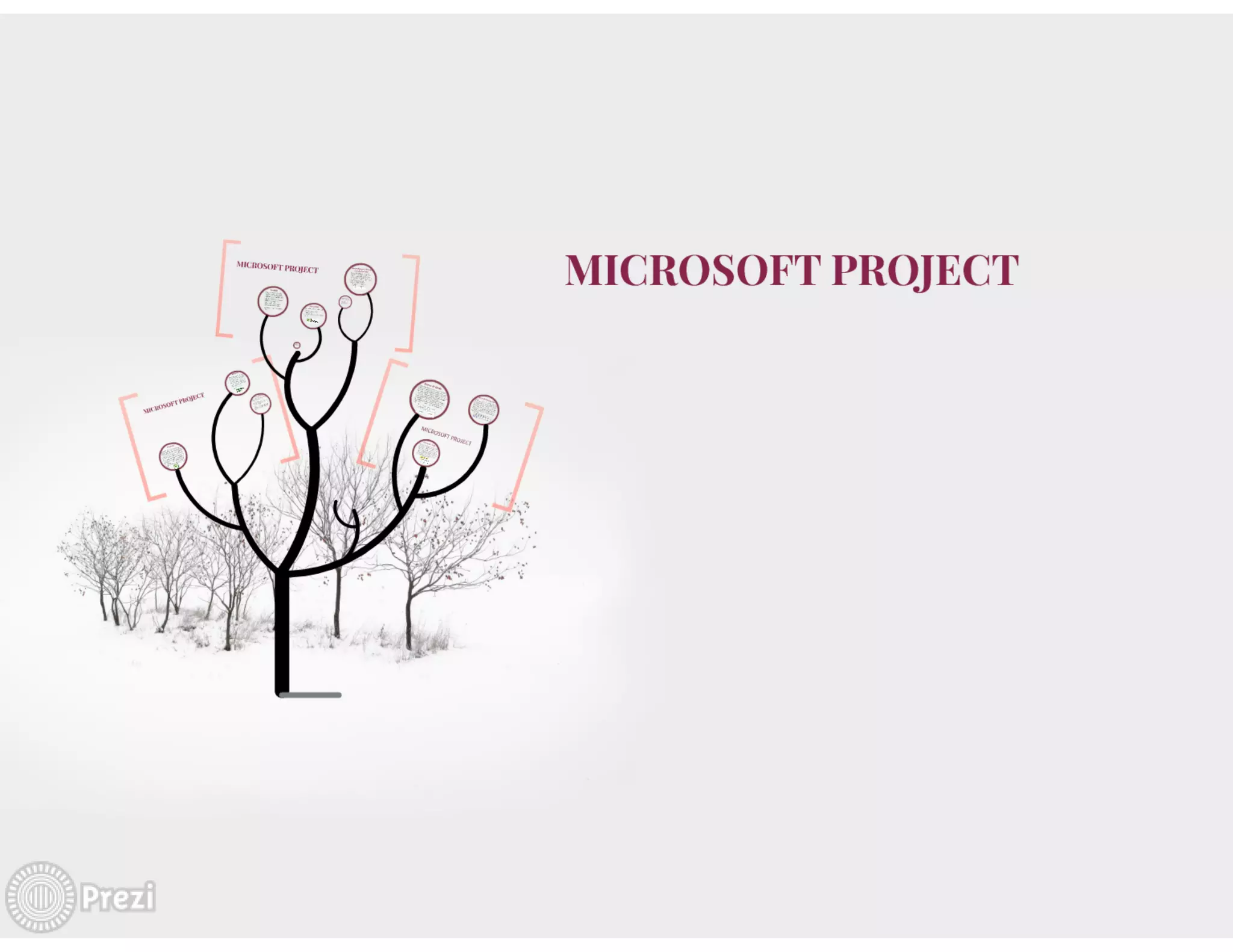 MICROSOFT PROJECT | PPT