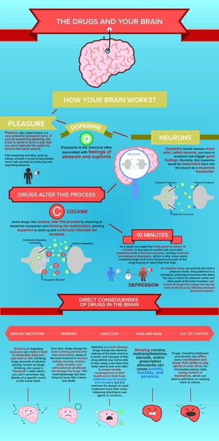 Drugs and Your Brain | PDF