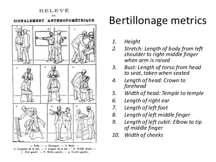 Software Bertillonage: Finding the Provenance of an Entity