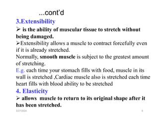 SKELETAL MUSCULAR SYETEM SYETEM OF HUMAN | PDF