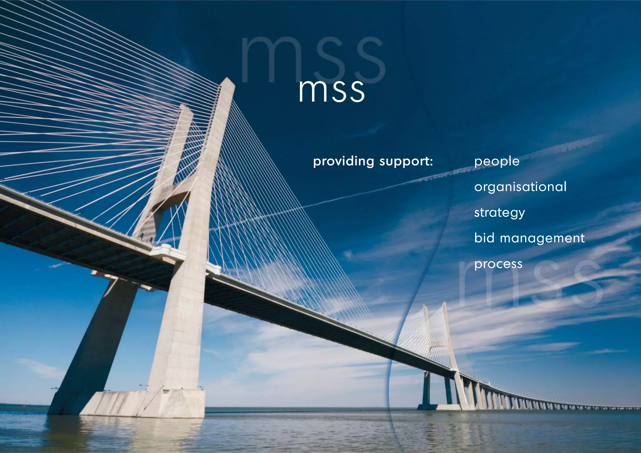 mss overview | PDF | Business Administration | Business