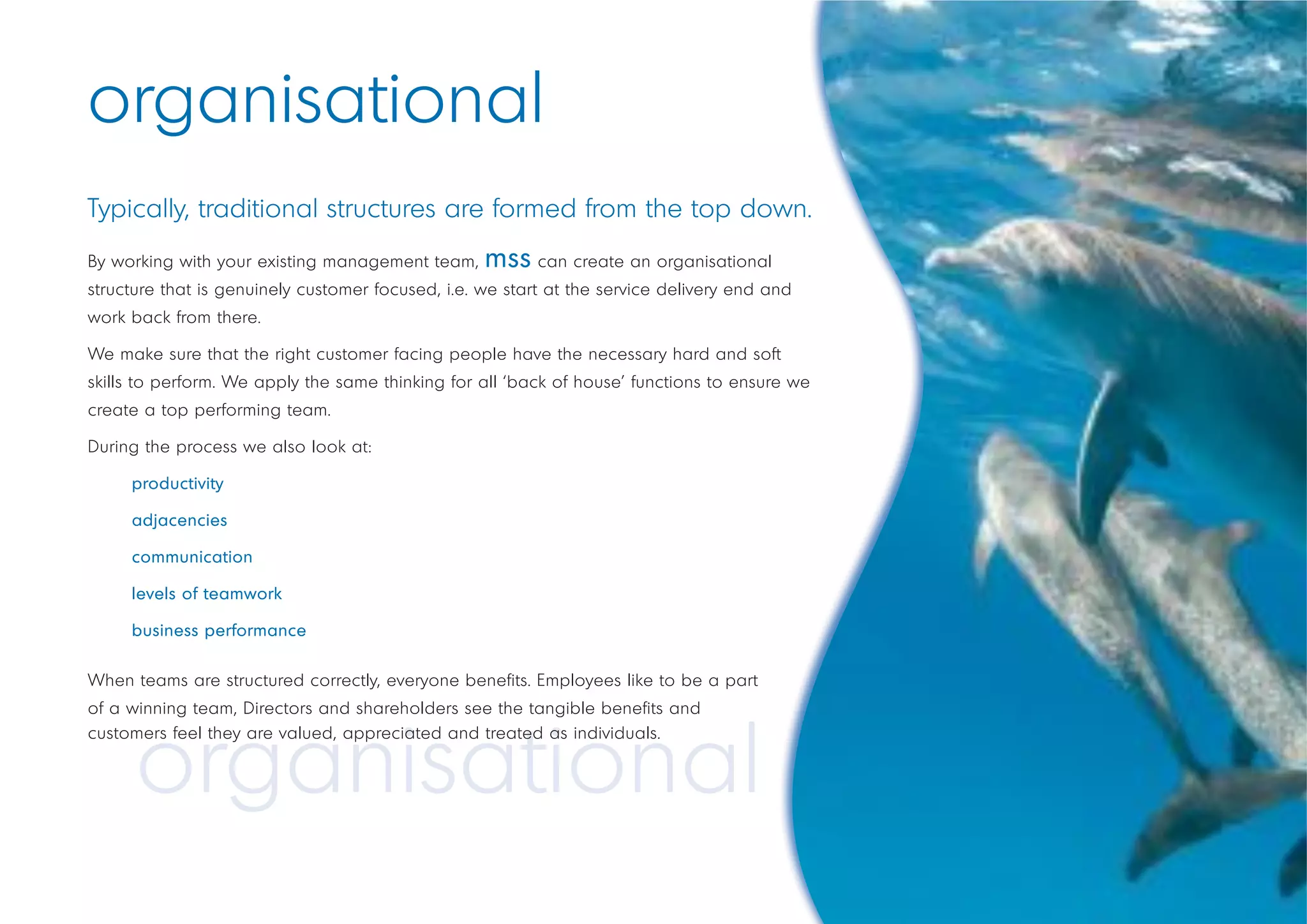 mss overview document | PDF