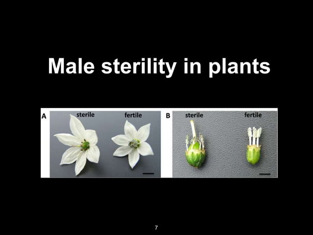Male sterility and self incompatibility in crop plants