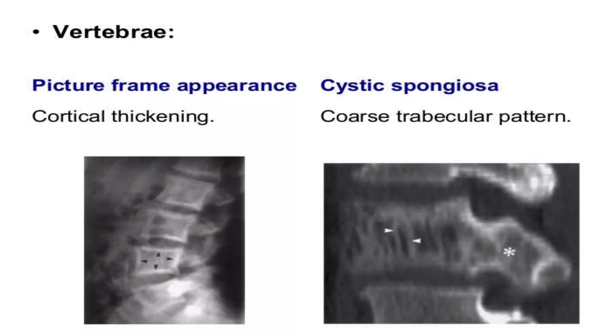 mss patho 1 (2).pptx