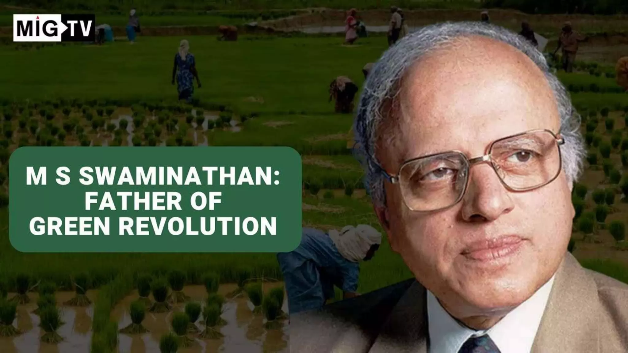 M s swaminathan.pptx