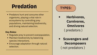 UNDERSTANDING BIOLOGICAL COMMUNITIES AND SPECIES INTERACTIONS | PDF