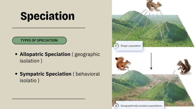 UNDERSTANDING BIOLOGICAL COMMUNITIES AND SPECIES INTERACTIONS | PDF