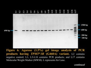 MS Thesis Presentation on TPMT Gene Polymorphism | PPT