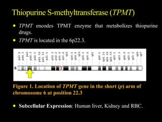 MS Thesis Presentation on TPMT Gene Polymorphism | PPT