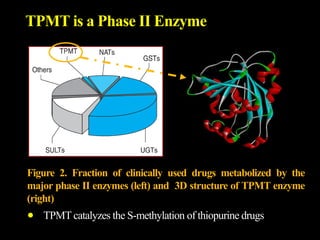 MS Thesis Presentation on TPMT Gene Polymorphism | PPT