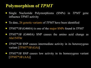 MS Thesis Presentation on TPMT Gene Polymorphism | PPT
