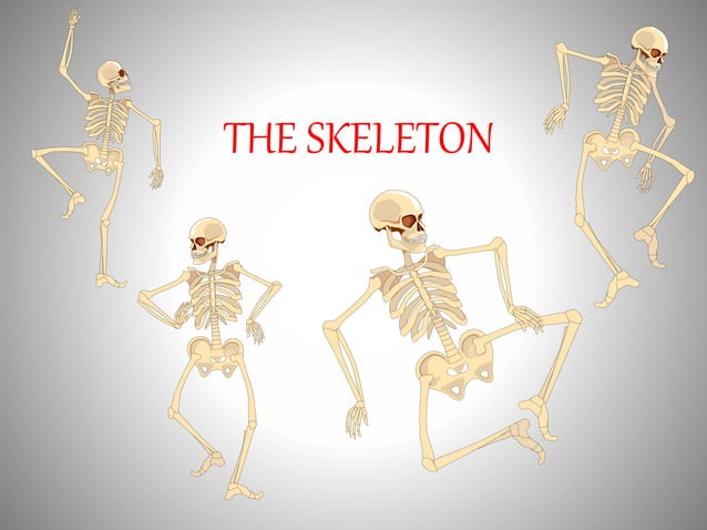 Msu3780 2016 human_body_systems__1._skeletal | PPT