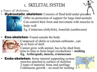 Msu3780 2016 human_body_systems__1._skeletal | PPT