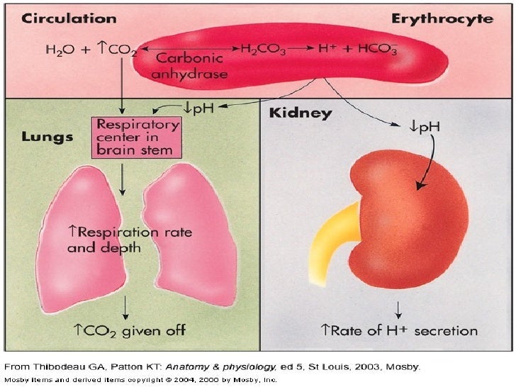 Acid base imbalance in medicine