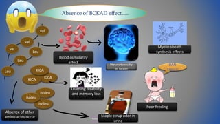 Msud presentation | PPTX