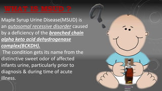 Msud presentation | PPTX