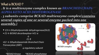 Msud presentation | PPTX