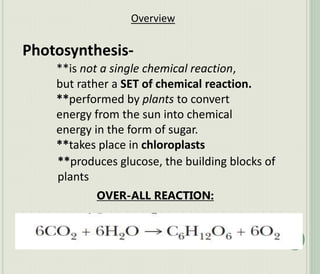 Photosynthesis | PPT