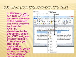 Ms word | PPTX