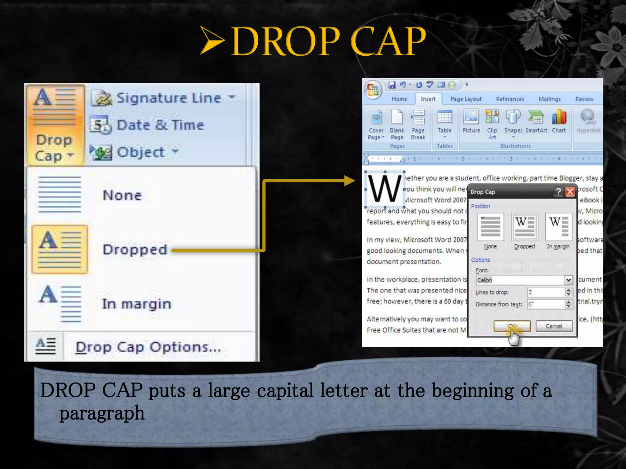 Ms Word (Insert Option) | PPTX