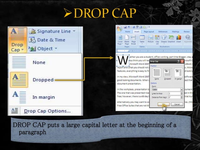 Ms Word (Insert Option) | PPTX | Desktop Publishing | Computer Software and Applications