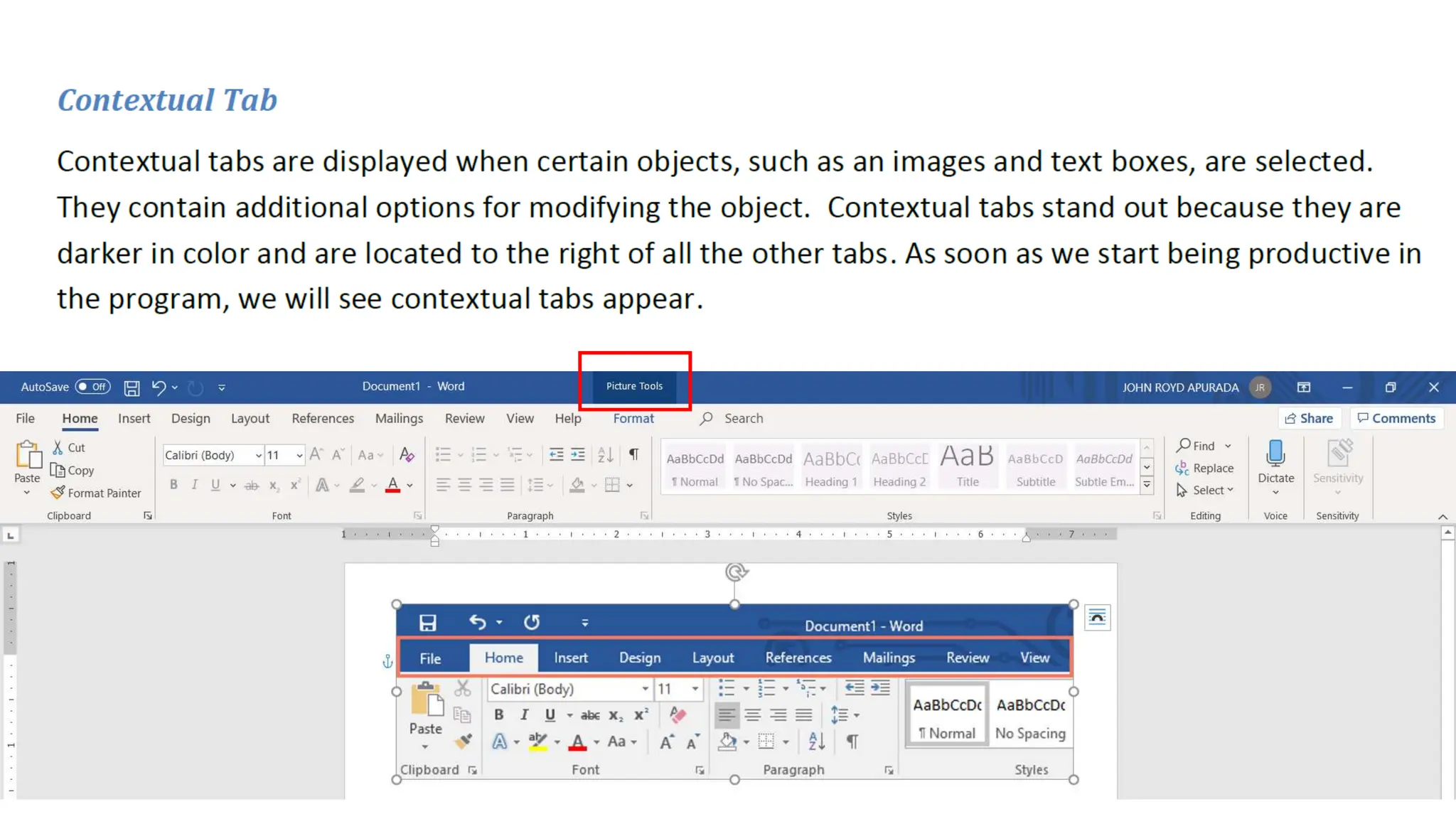 Ms Word Interface Pptx