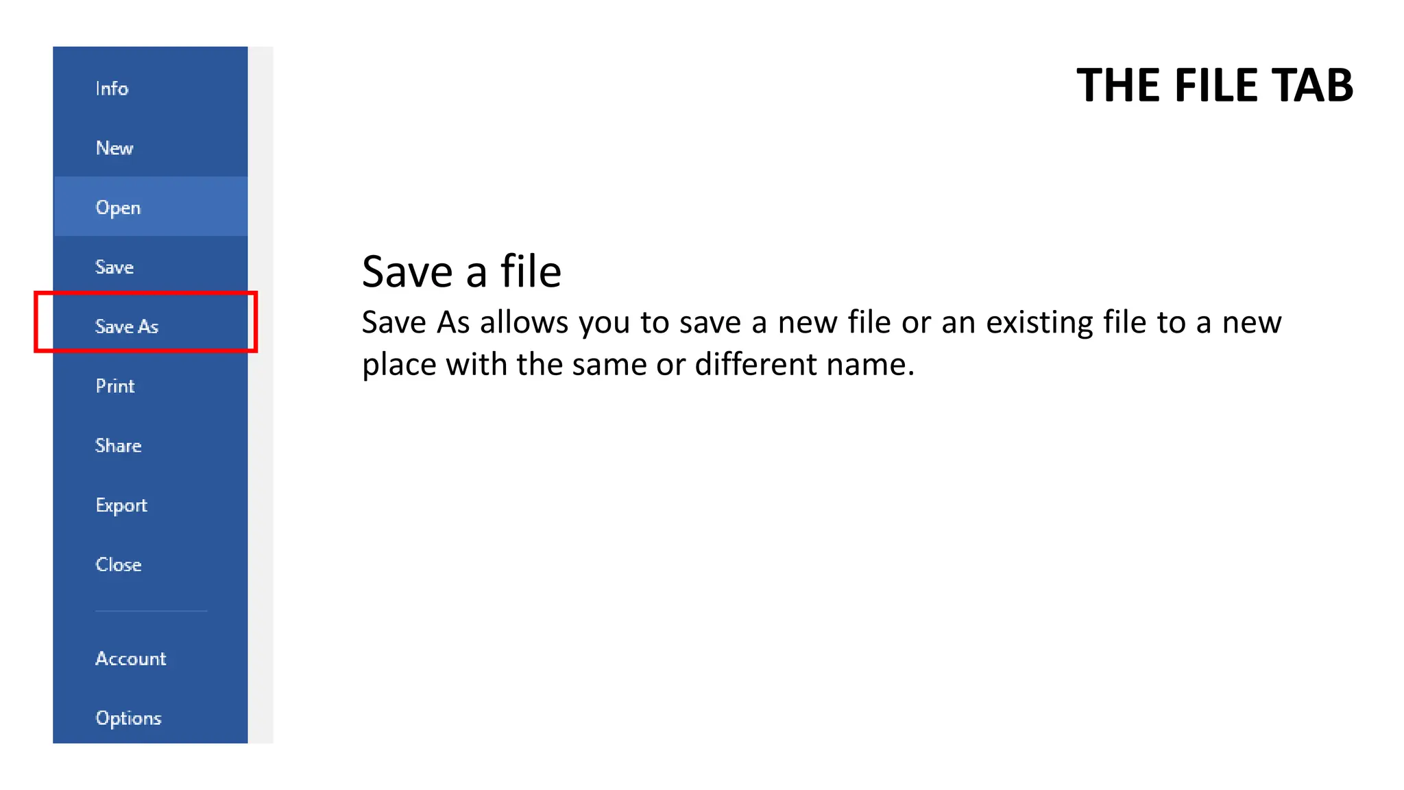 MS Word Interface.pptx